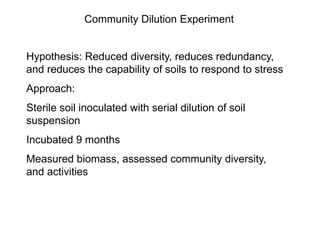 Diversity of Soil Microbes powerpoint.ppt