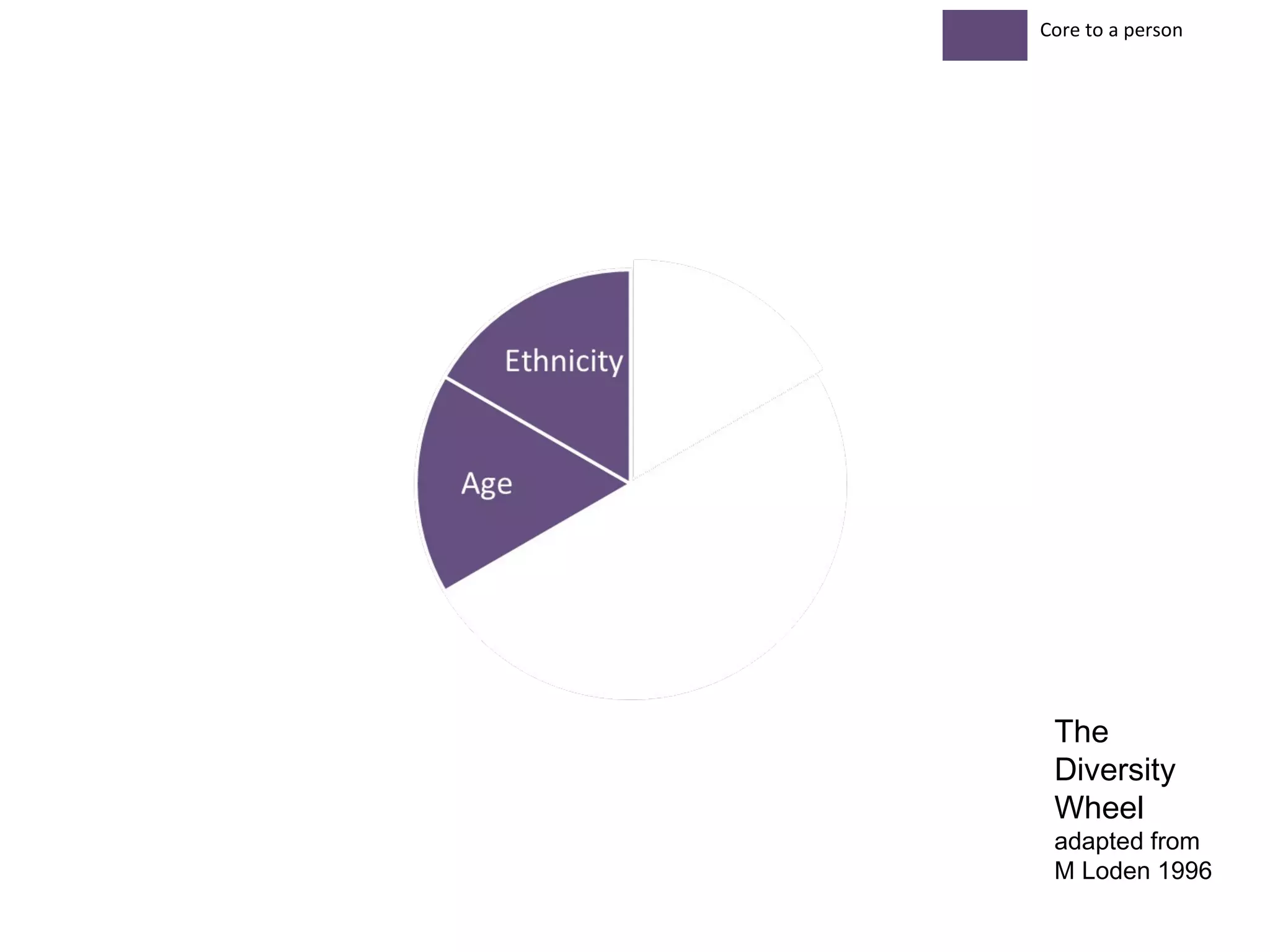 The Diversity Wheel | PPT