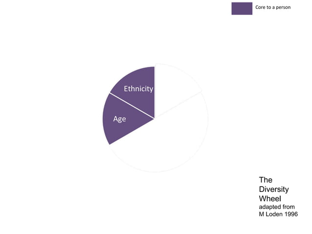 The Diversity Wheel | PPT