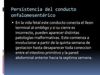 Diverticulo de meckel | PPTX