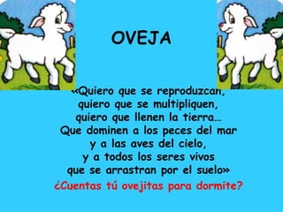 Divertido abc bíblico de los animales creado por sandra leoni | PPTX