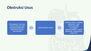 divertikulum meckel (1).pptx