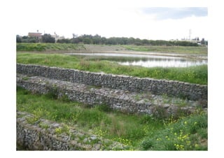 Divided Environments: Territorial Secessions and Resource Conflicts | PDF