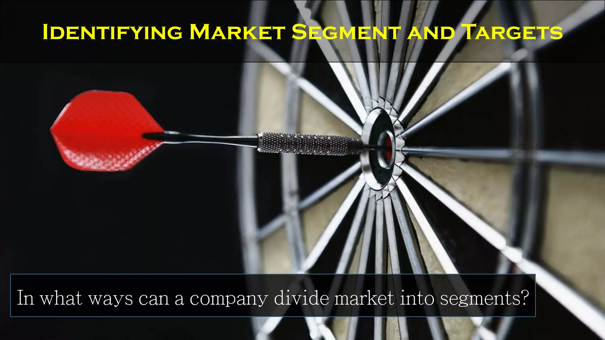 Dividing market into segments | PDF
