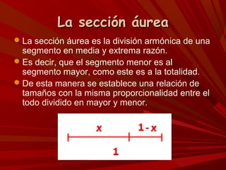 Divina proporción | PPT