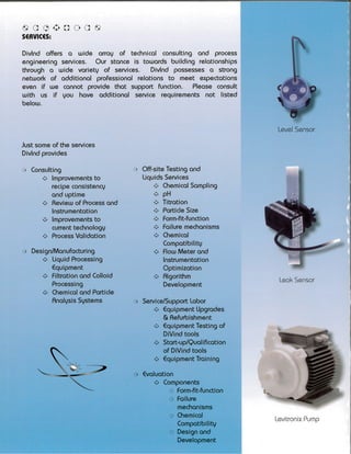 Divind LLC | PDF