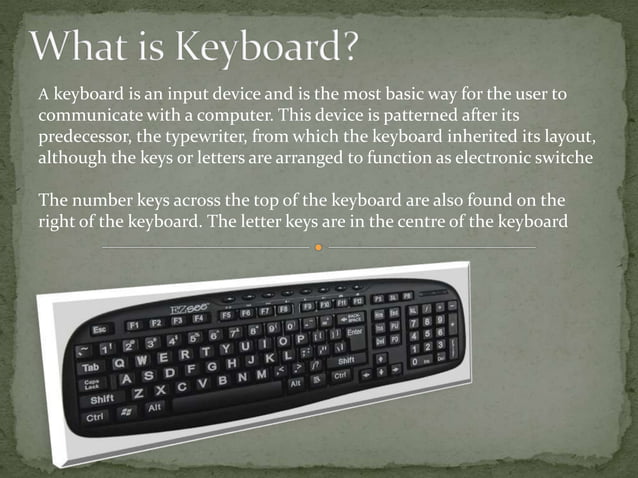 Divine Educational Institute.pptx