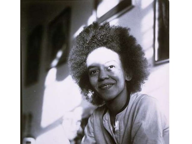 Divine nine delta sigma theta | PPTX