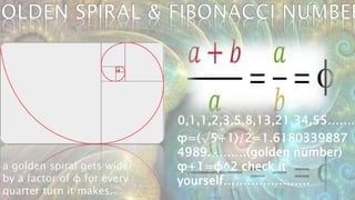 Divine proportion | PPTX