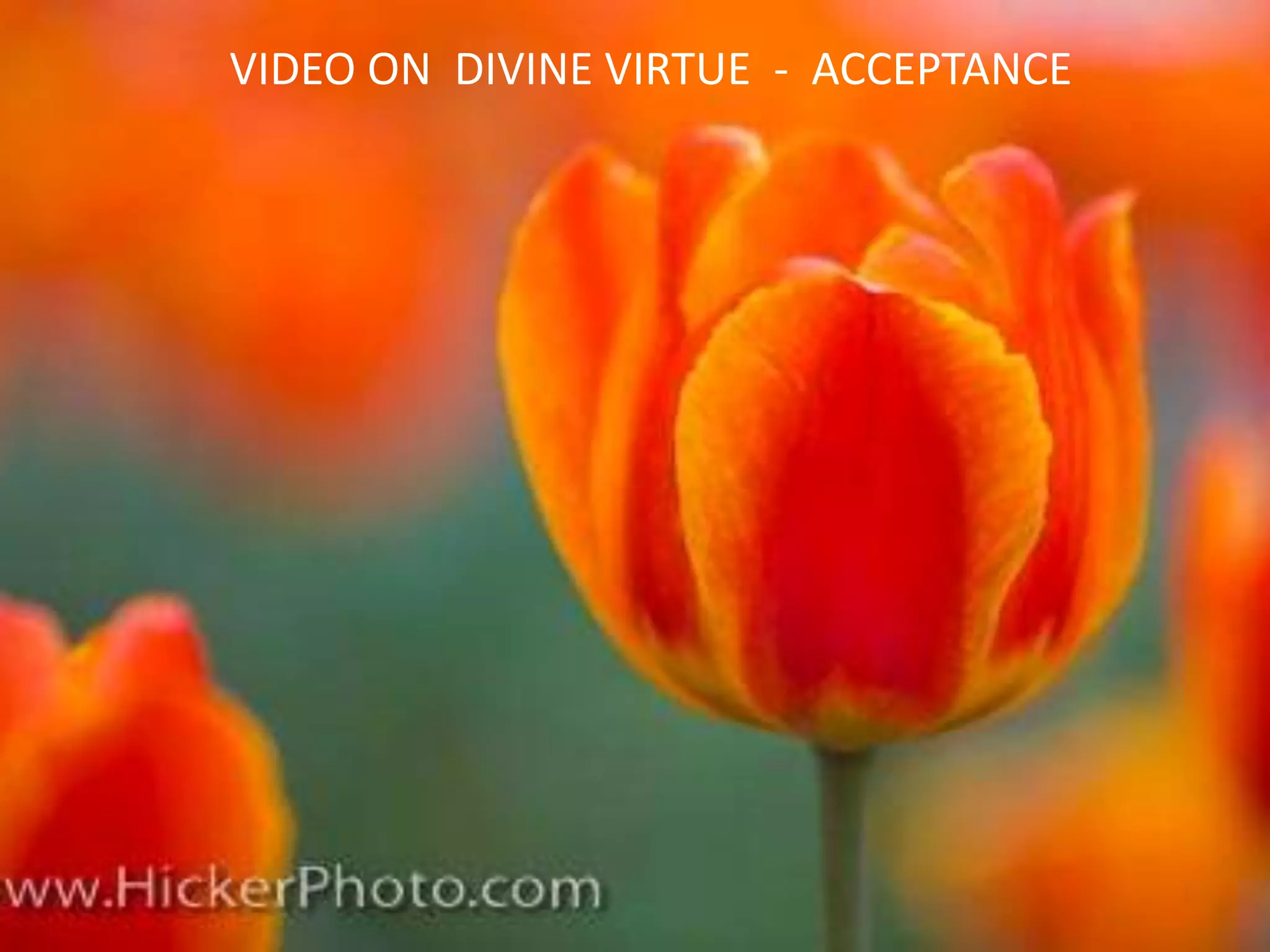 Divine Virtue - Acceptance | PPSX