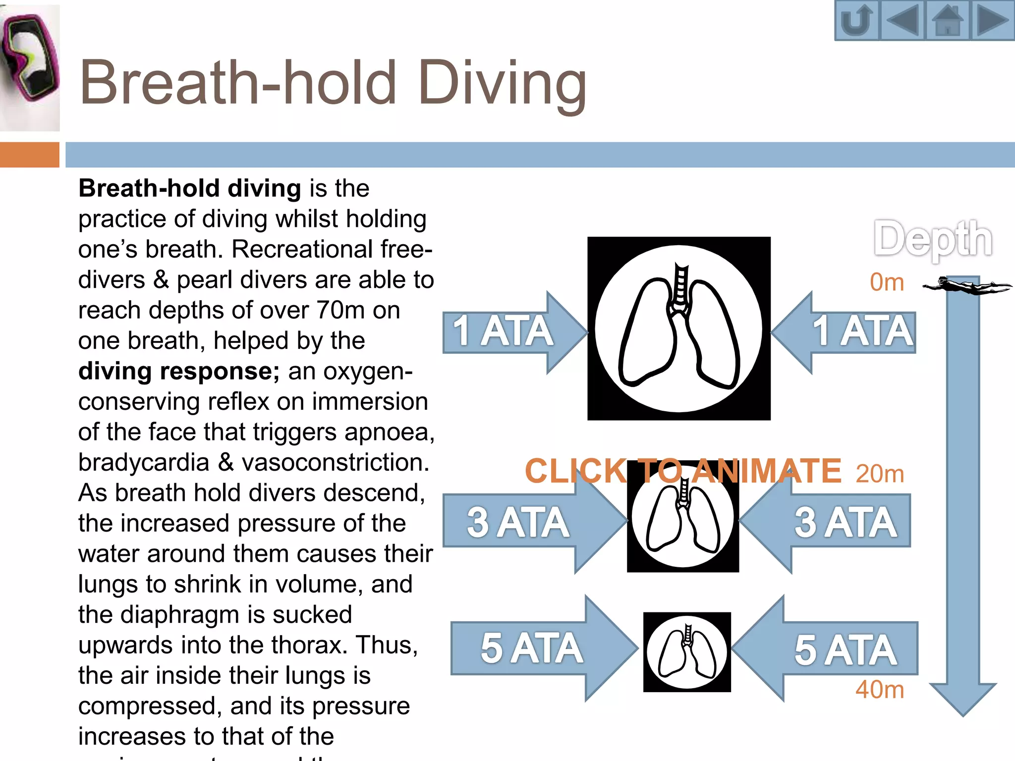 Diving Medicine & Decompression sickness A Self Directed Learning ...