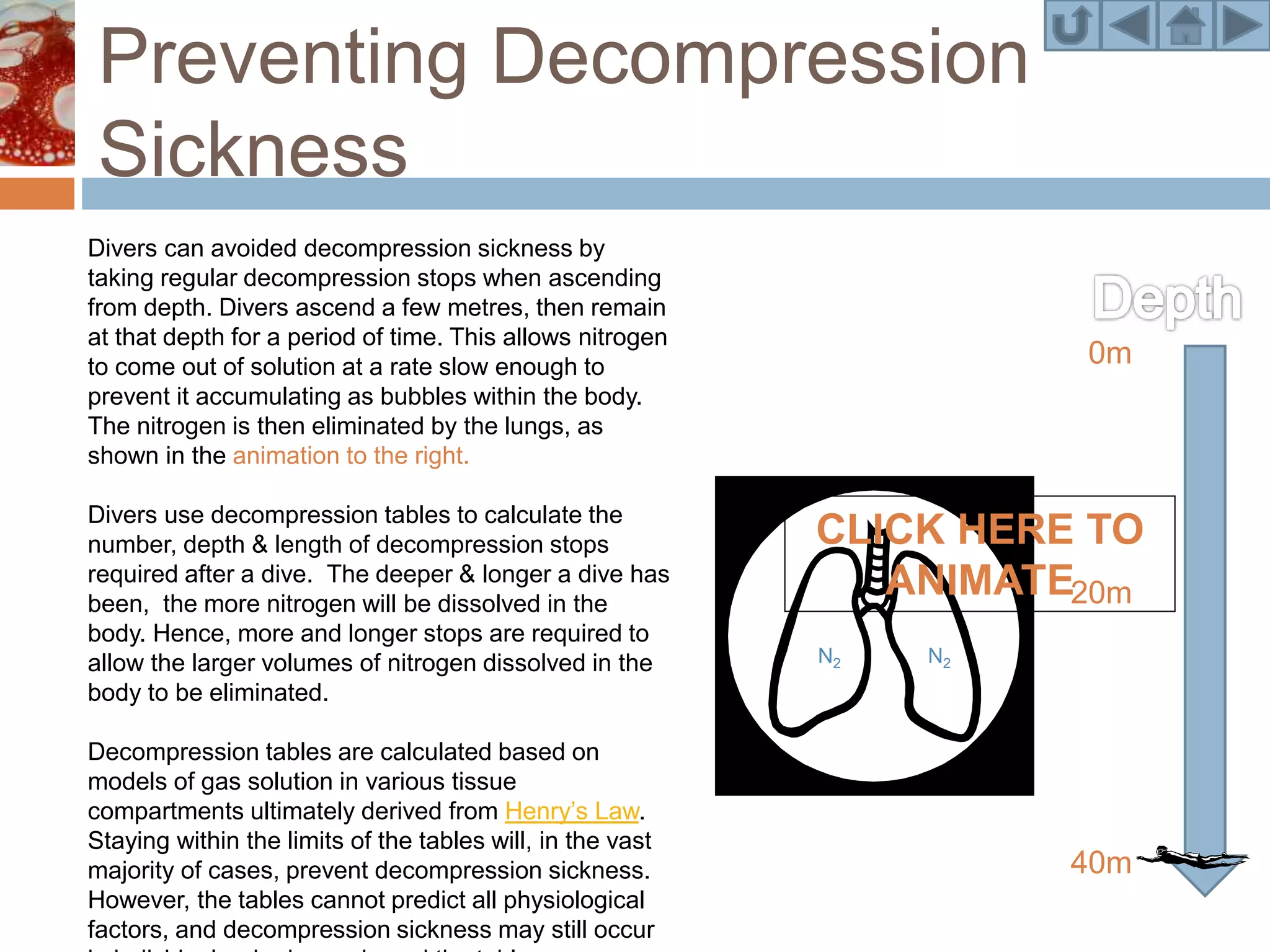 Diving Medicine & Decompression sickness A Self Directed Learning ...