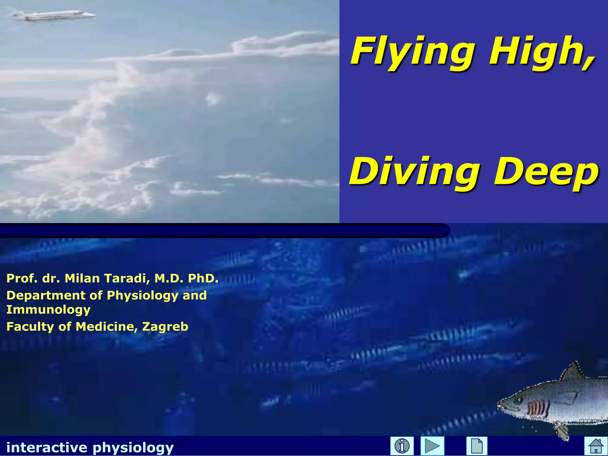 Diving | PPT