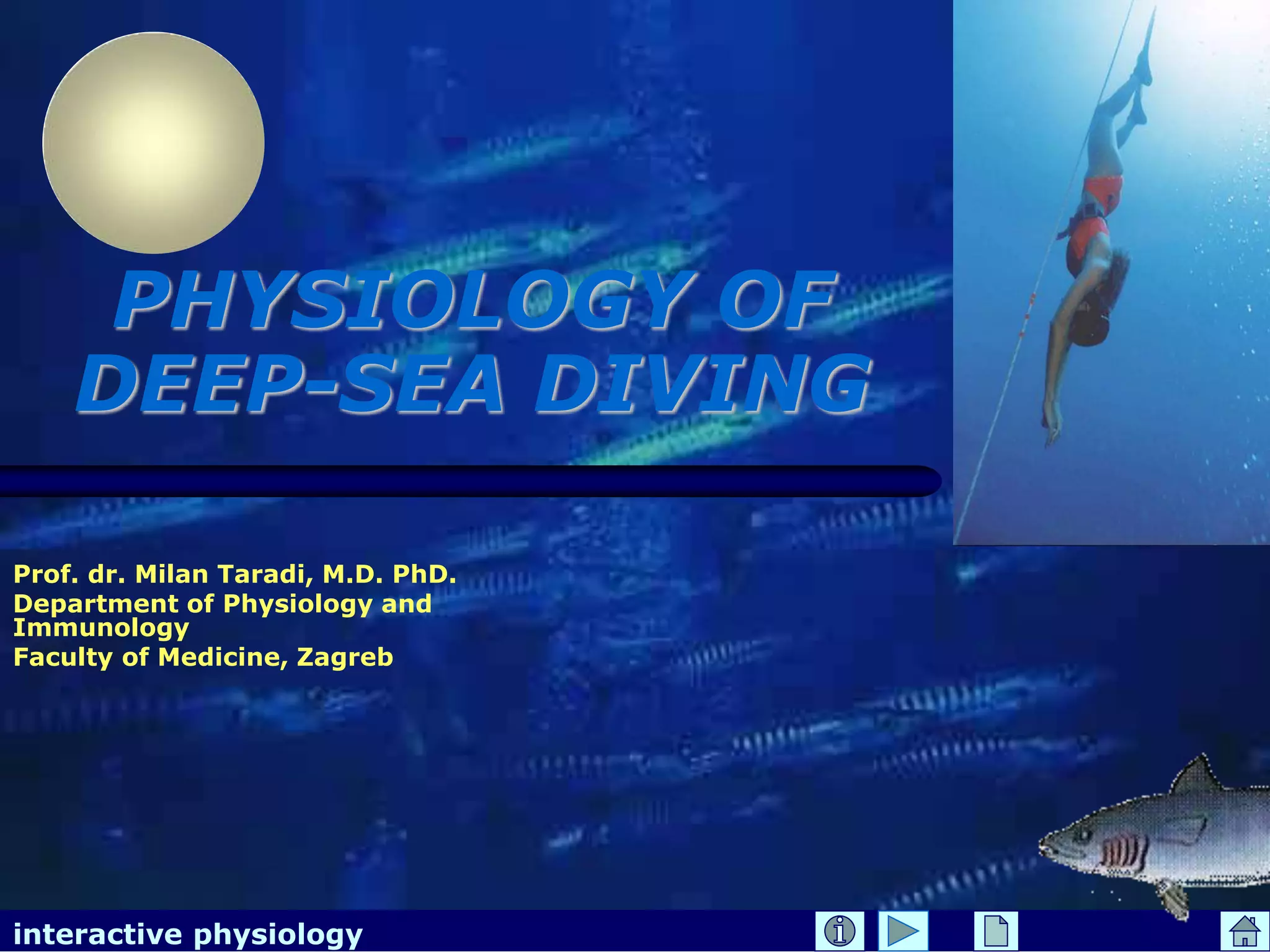 Diving | PPT