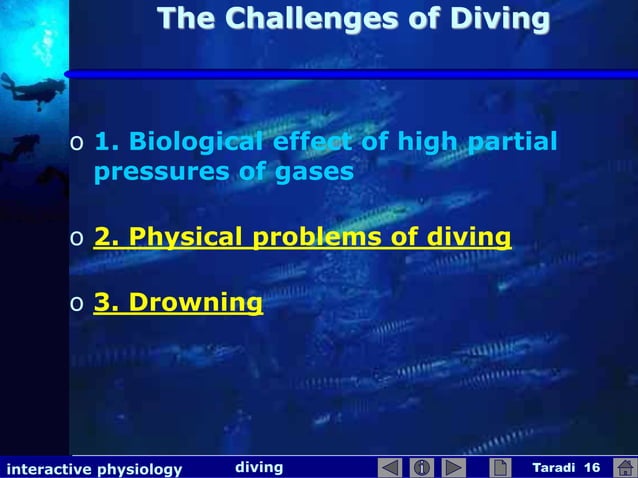 Diving | PPT | Scuba Diving | Extreme Sports
