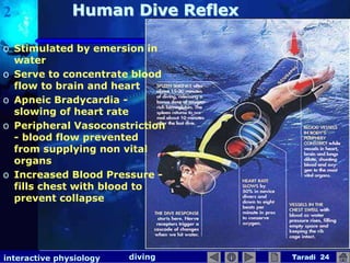 Diving | PPT