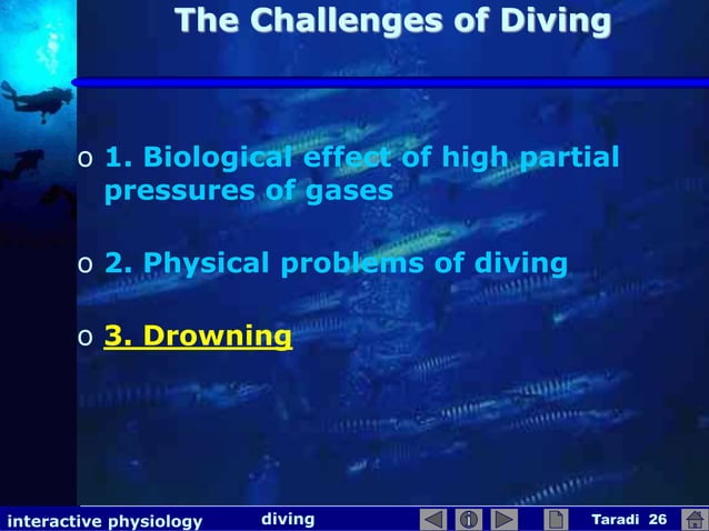 Diving | PPT | Scuba Diving | Extreme Sports