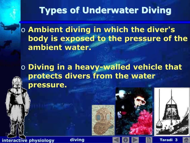 Diving | PPT | Scuba Diving | Extreme Sports