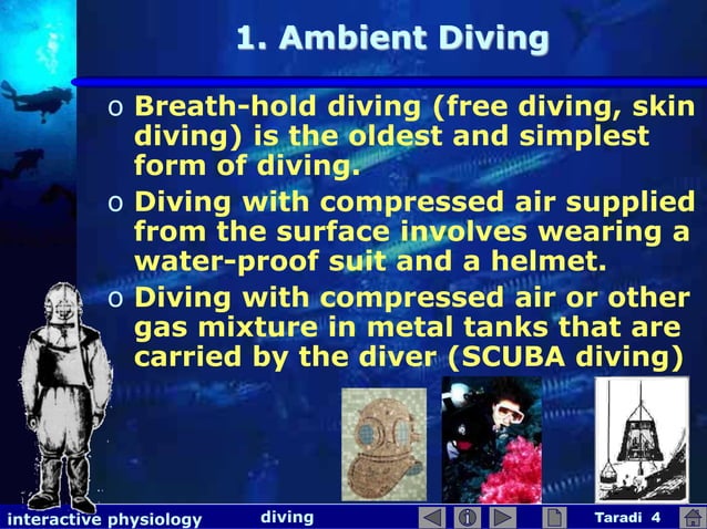 Diving | PPT | Scuba Diving | Extreme Sports