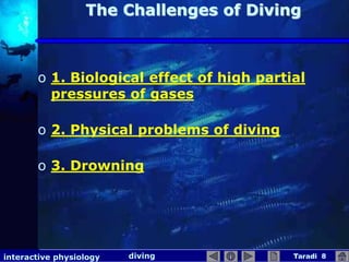 Diving | PPT