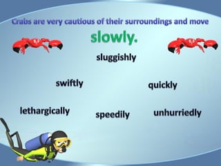 Diving Deep for Synonyms and Antonyms.pdf