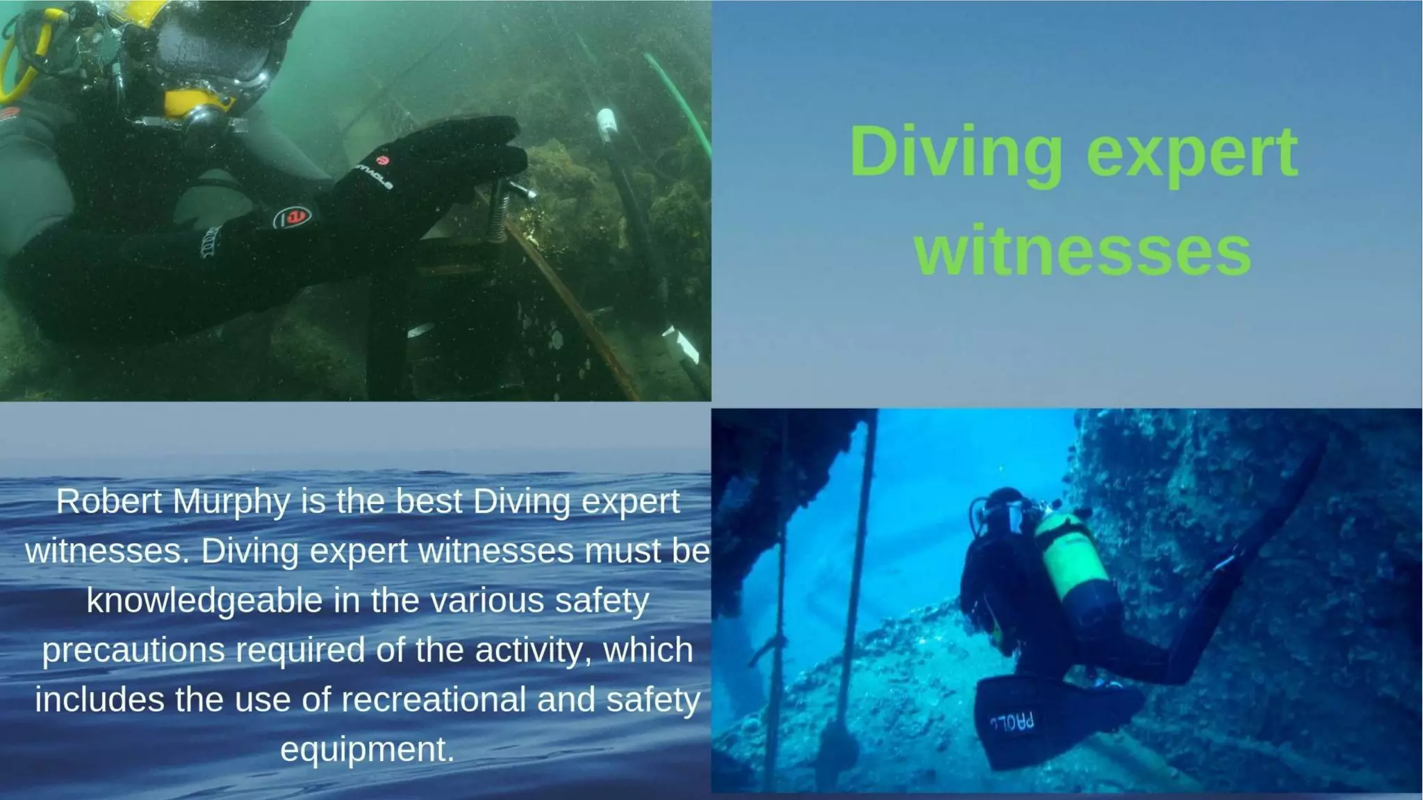 Diving expert witnesses - Maritime Opinions | PPTX
