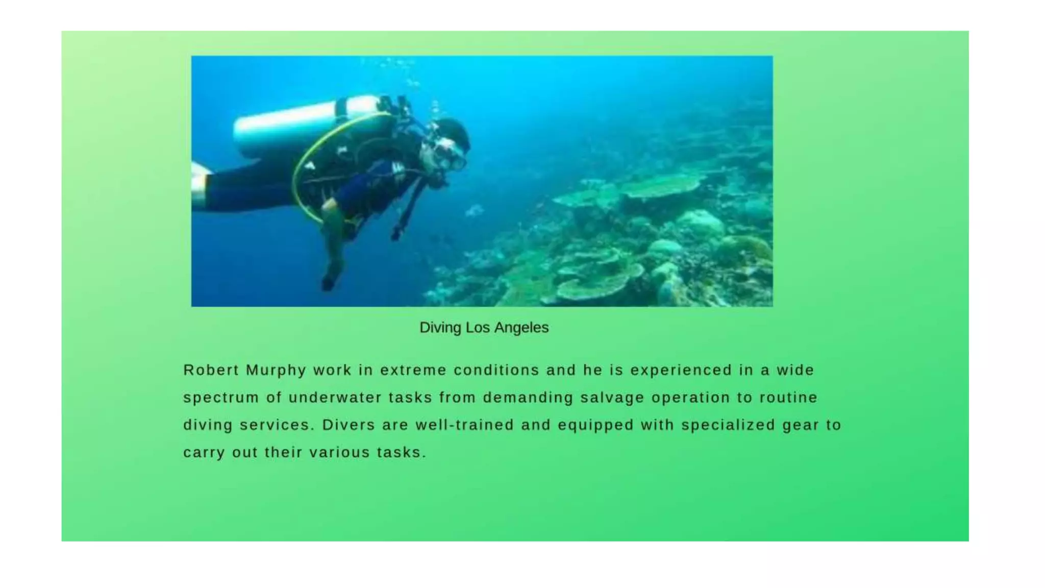 Diving Los Angeles | PPTX