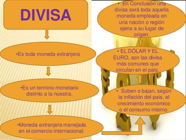 Divisa