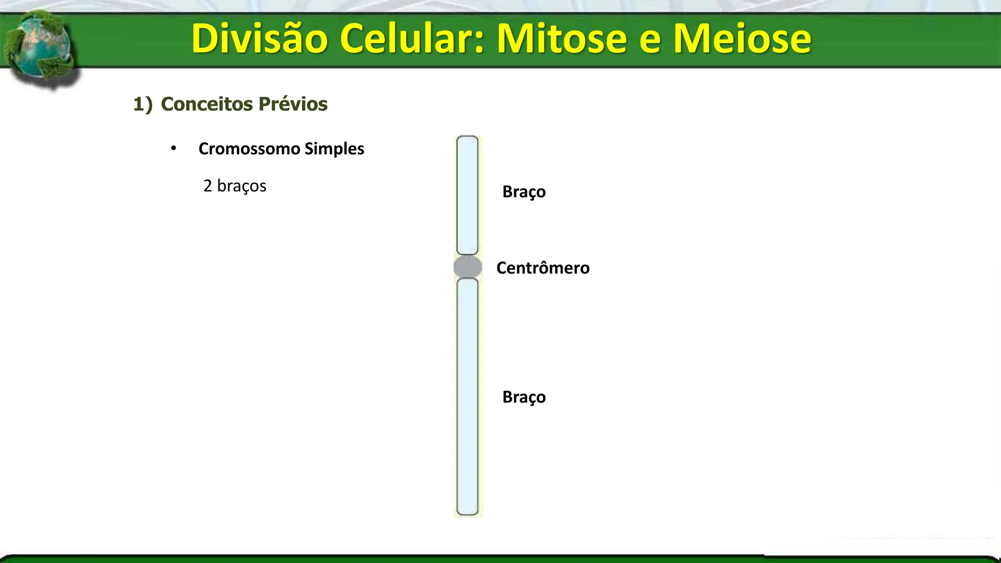 Divisão Celular Mitose E Meiose Material De Estudo 4 Pdf