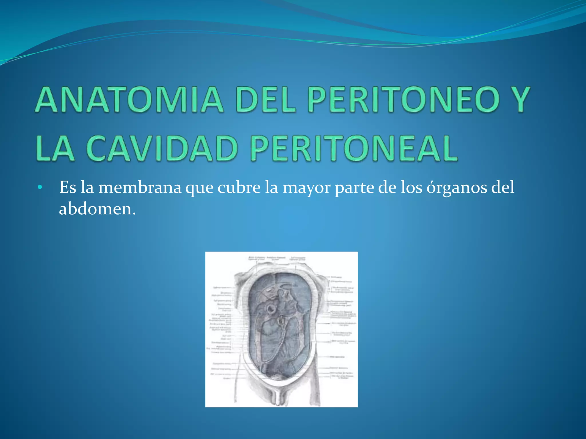 División abdominal en cuadrantes y Anatomía del Peritoneo | PPTX