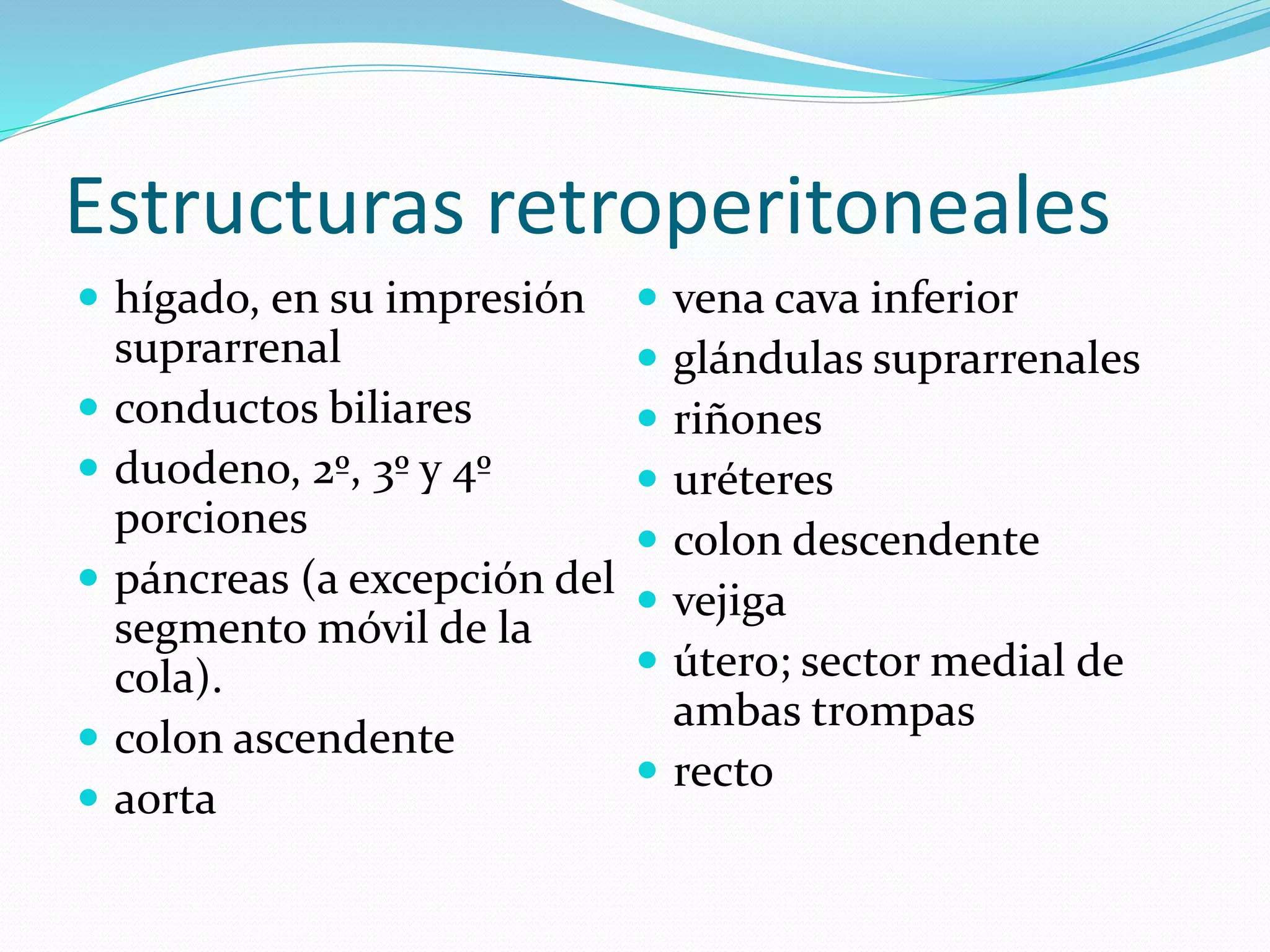 División abdominal en cuadrantes y Anatomía del Peritoneo | PPTX