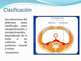 División abdominal en cuadrantes y Anatomía del Peritoneo | PPTX