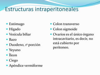 División abdominal en cuadrantes y Anatomía del Peritoneo | PPTX