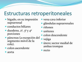 División abdominal en cuadrantes y Anatomía del Peritoneo | PPTX