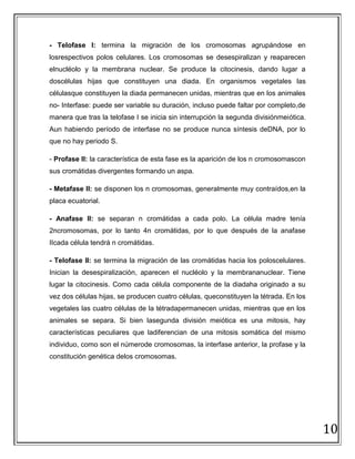 División celular | DOCX