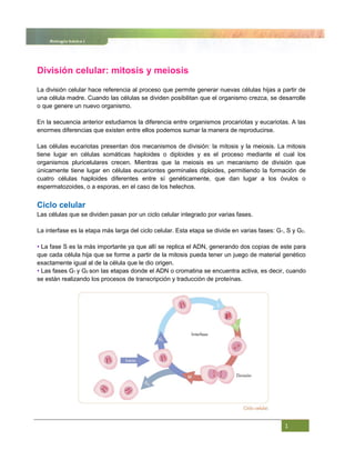 División celular, mitosis y meiosis | PDF