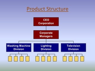 Divisional structures | PPTX