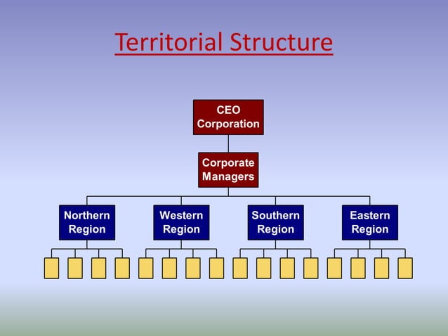 Divisional structures | PPTX | Large Business | Business