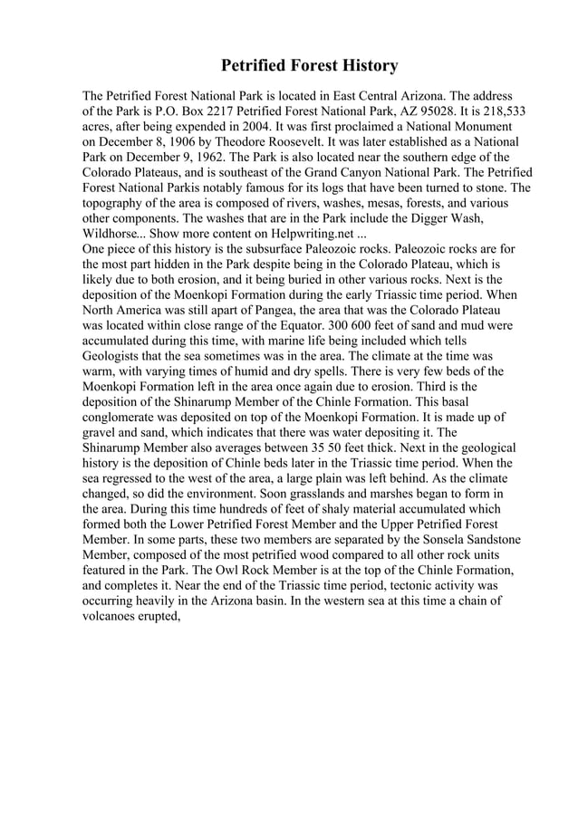 Division And Classification Essay | PDF