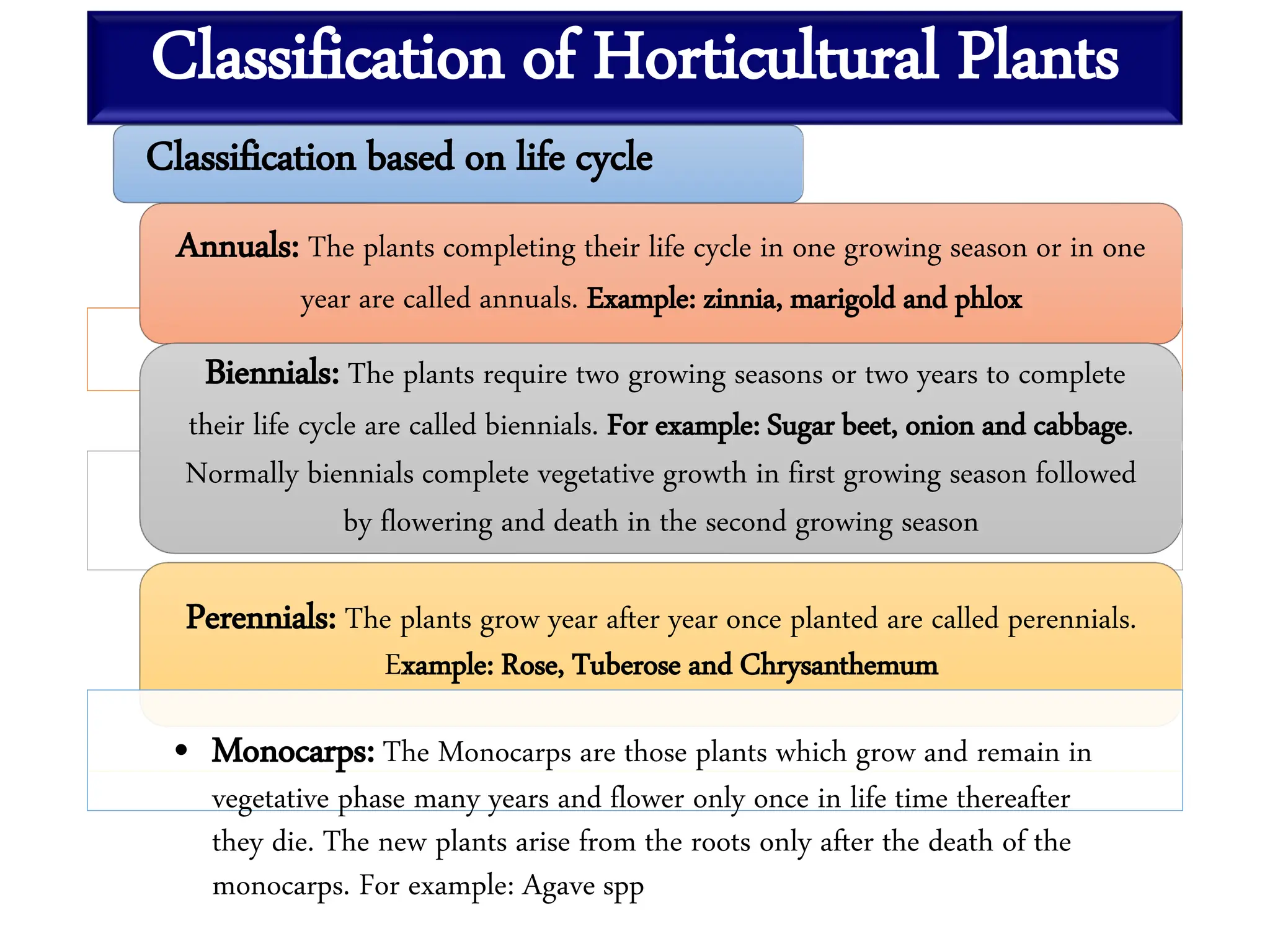 Division and Classification of Horticultural Crops .pdf