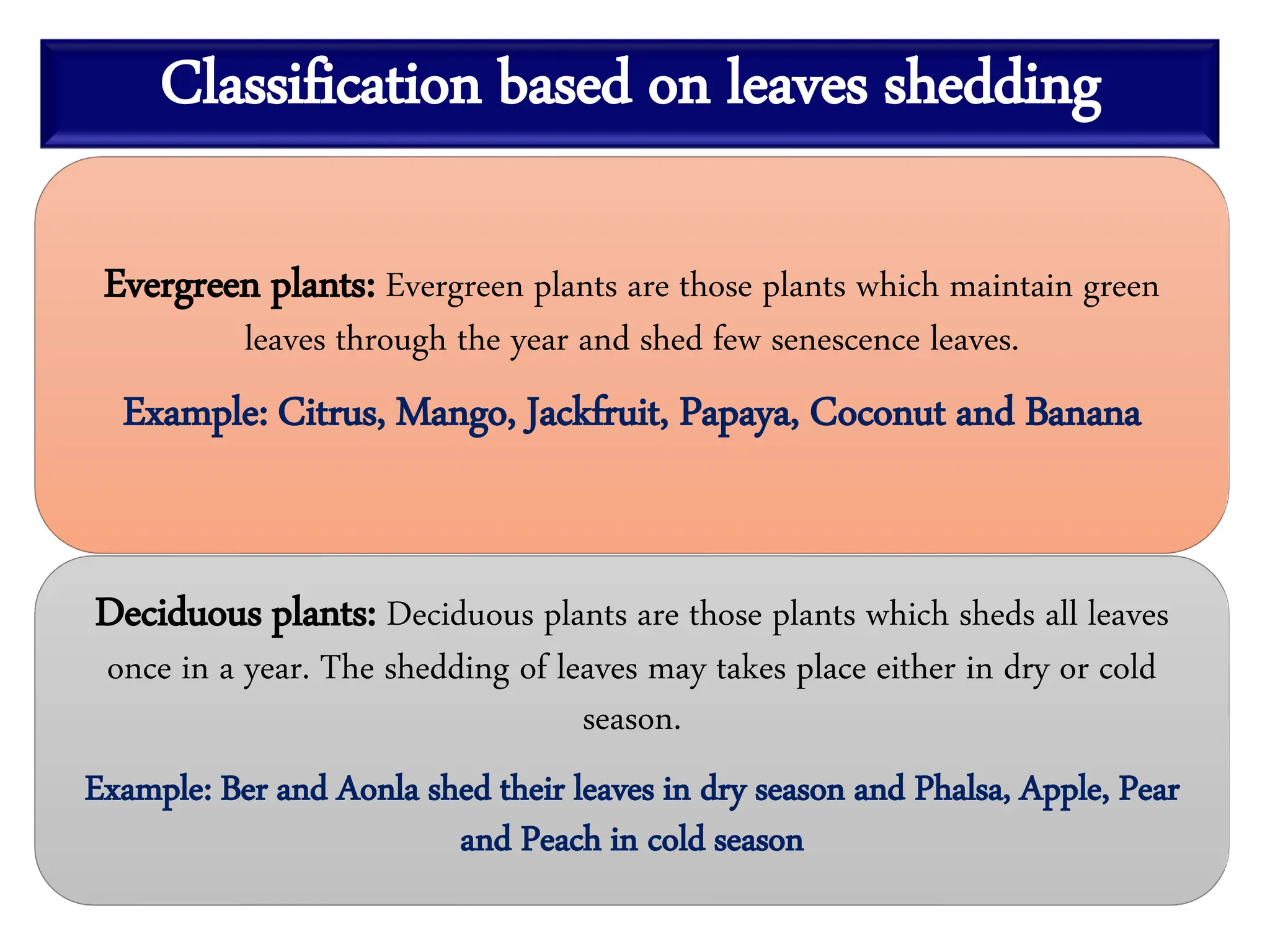 Division and Classification of Horticultural Crops .pdf