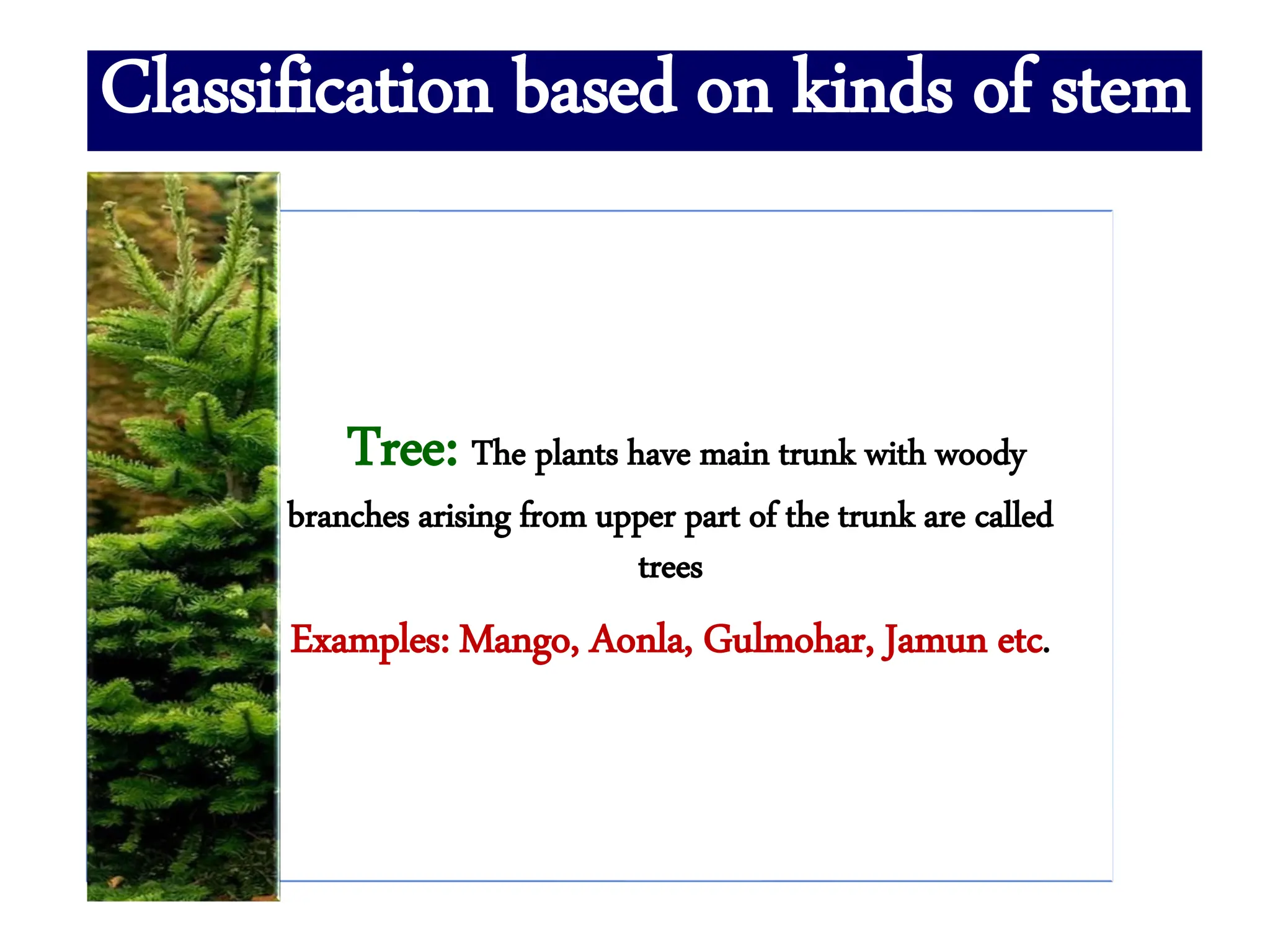 Division and Classification of Horticultural Crops .pdf