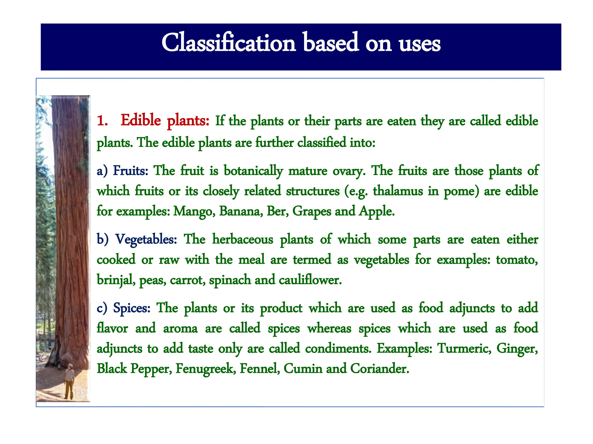 Division and Classification of Horticultural Crops .pdf