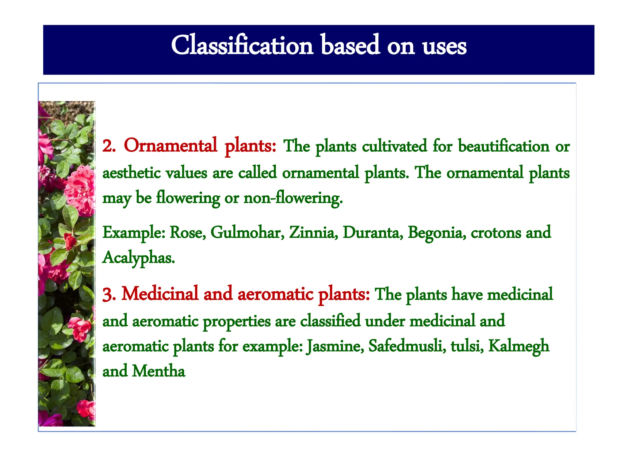 Division and Classification of Horticultural Crops .pdf
