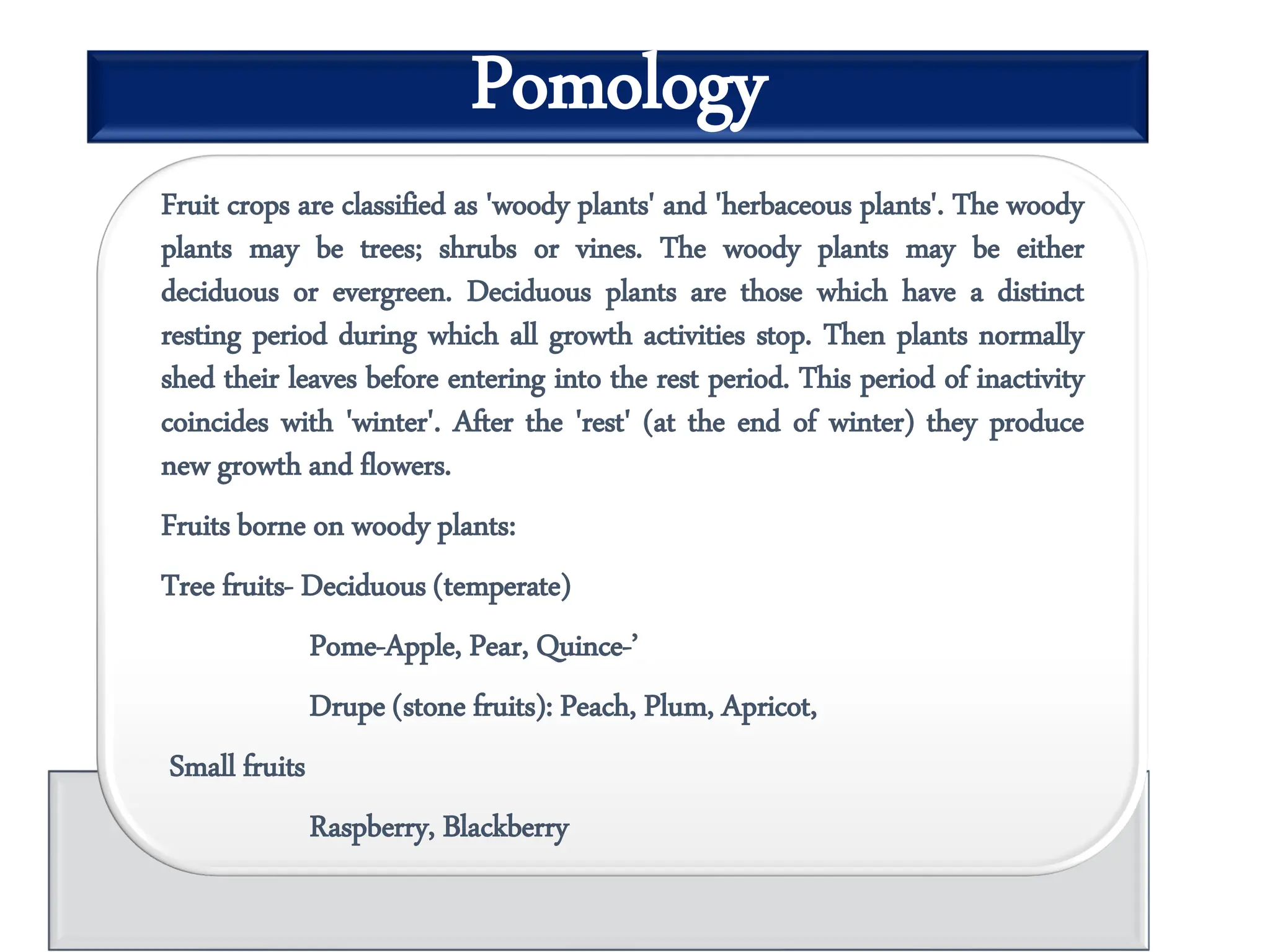 Division and Classification of Horticultural Crops .pdf