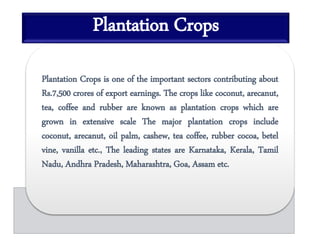 Division and Classification of Horticultural Crops .pdf