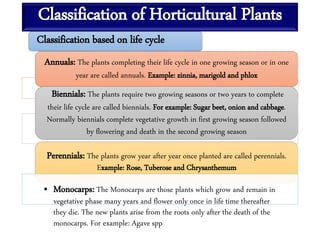 Division and Classification of Horticultural Crops .pdf