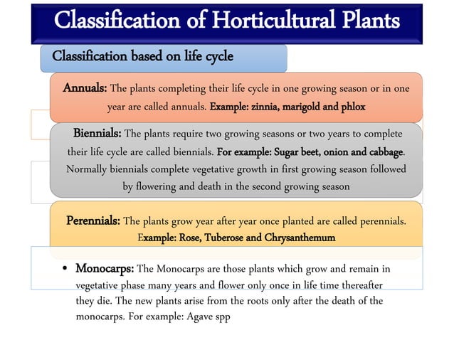 Division and Classification of Horticultural Crops .pdf