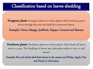 Division and Classification of Horticultural Crops .pdf
