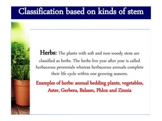 Division and Classification of Horticultural Crops .pdf